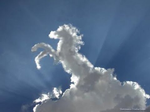 Synchronicity