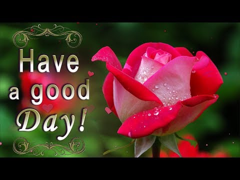 🎶💗 HAVE A GOOD DAY! Have a good mood!!! 🎶💗 4K The most beautiful music video for WhatsApp