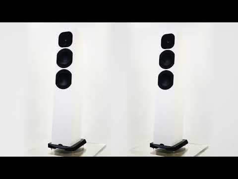 Neat Motive SX1 - Satin White