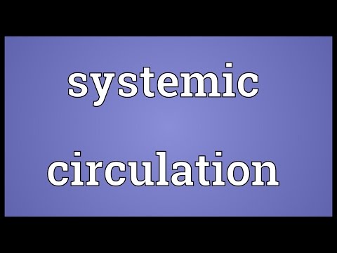 Systemic circulation Meaning