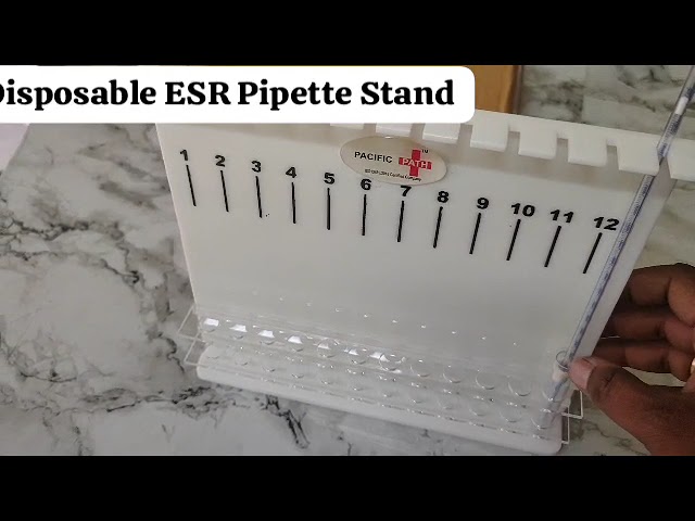 Laboratory stand - Stand Disposable ESR Pipette Wholesale Trader from ...