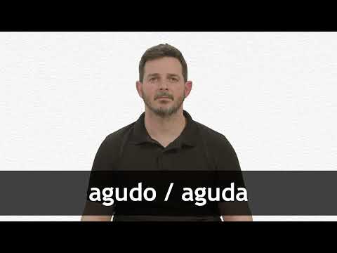 English Translation of “AGUDO” | Collins Spanish-English Dictionary