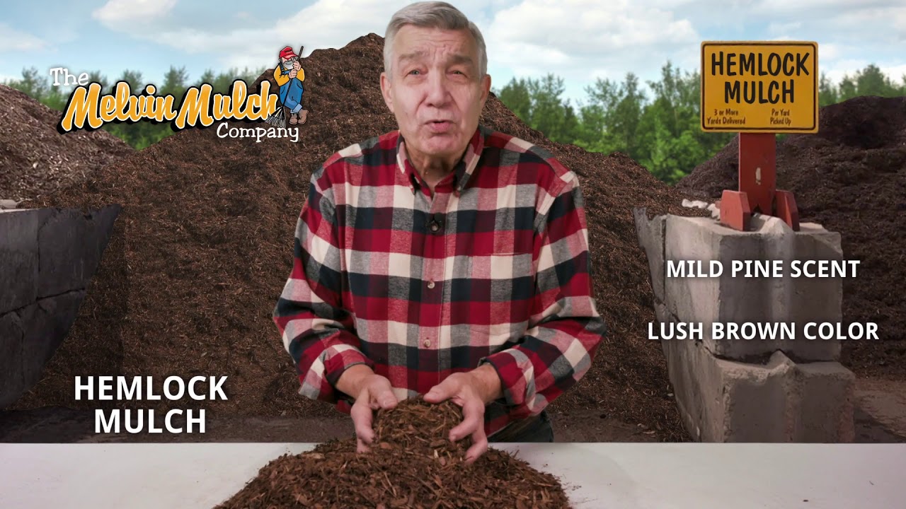 Melvin Mulch Hemlock
