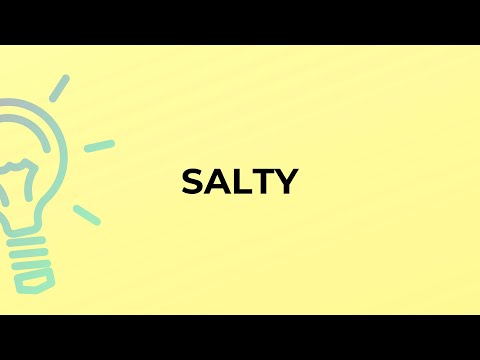 What is the meaning of the word SALTY?