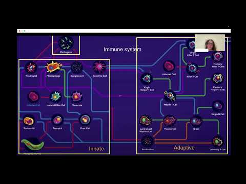 Adam's Immune System talk. How the immune system works!!!