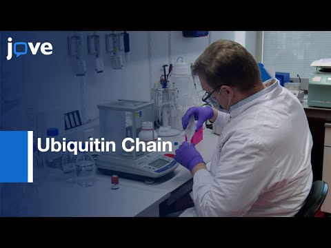 Ubiquitin Chain Analysis by Parallel Reaction Monitoring