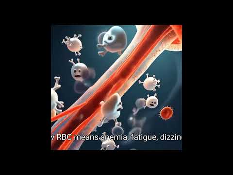 What Your Blood Test Is Really Telling You!