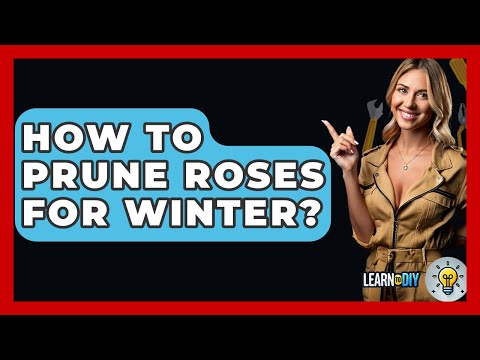 How To Prune Roses For Winter? - LearnToDIY360.com