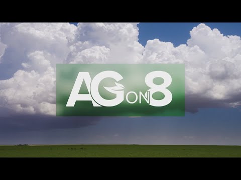 Ag on 8: Preventing beef cattle disease, reflecting on 70 years at the Henry County Fair