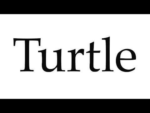 How to Pronounce Turtle
