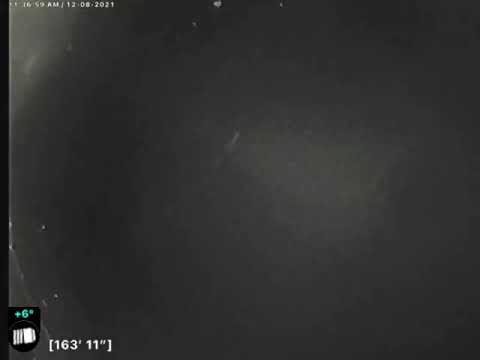 19 forest grove rd 15108