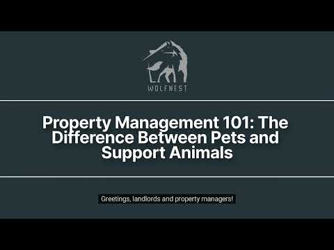 Property Management 101: The Difference Between Pets and Support Animals