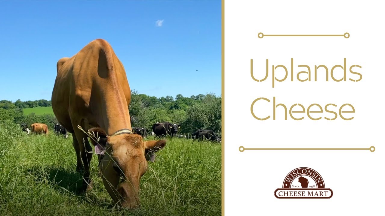 Inside Uplands Cheese's Farmstead Creamery | Wisconsin Cheese Mart