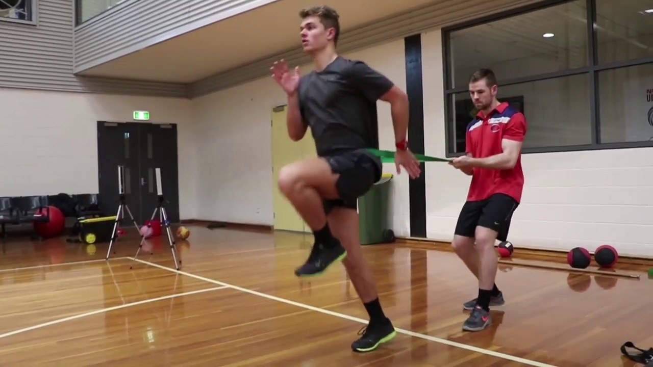 ACE - Sports Performance Training Programs