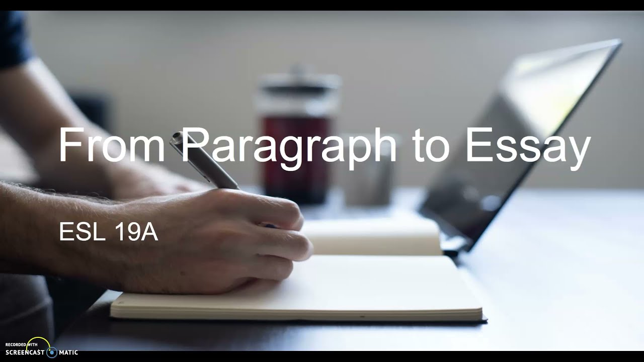 Understanding the Differences Between Paragraphs and Essays | Galaxy.ai