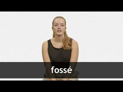 English Translation of “FOSSÉ” | Collins French-English Dictionary