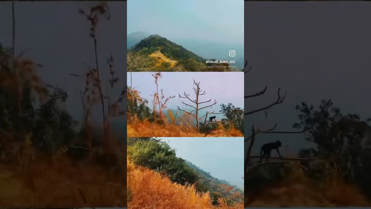 #nature #naturelovers #naturestatus #mountains #memesdaily #memes #funny #