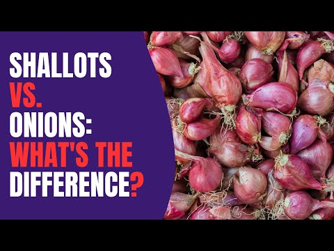 Shallots vs. Onions: What's the Difference?