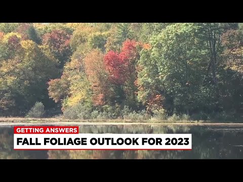 Getting Answers: slow start to the fall foliage season
