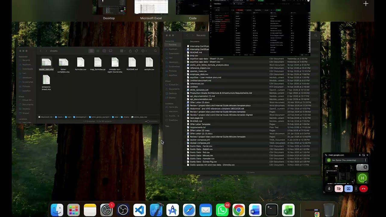 echoGecko Process explanation