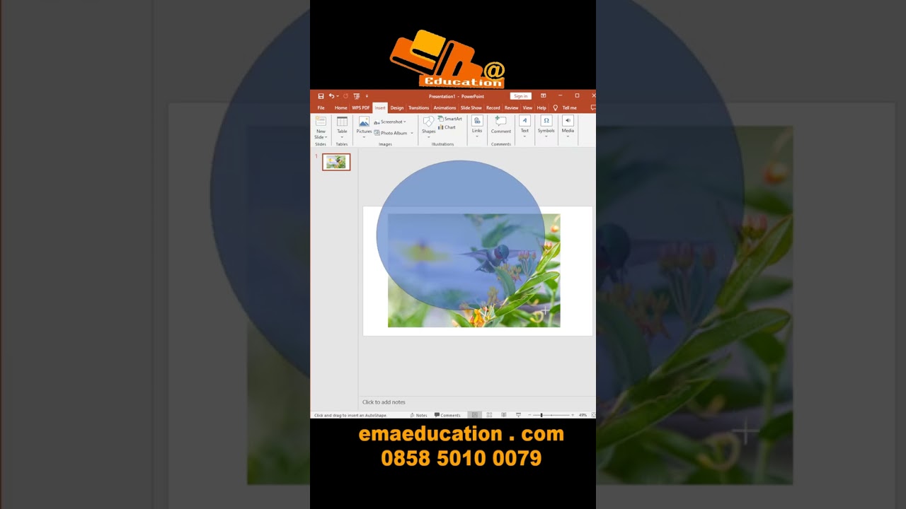 cara membuat gambar terpotong melingkar di power point
