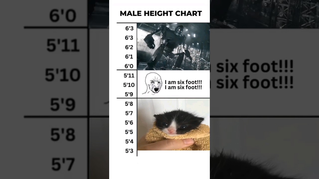 Height chart