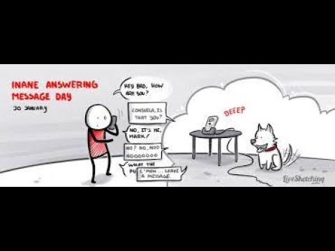 Inane meaning sentence and pronunciation