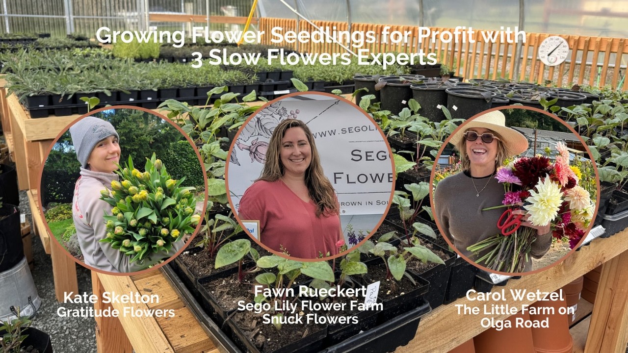 Slow Flowers Show Episode 761V: Growing Flower Seedlings for Profit