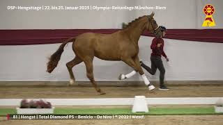 Hengst von Total Diamond PS / Benicio: Cheval, 1 vidéo exclusive, Pedigree