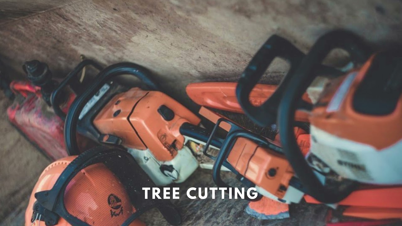 Hawkesbury Tree Pros