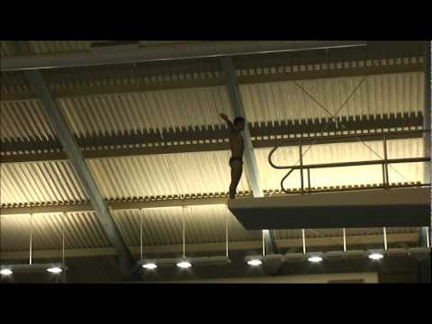 Big Ten Conference 10 meter Finals
