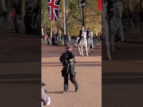 Beautiful white police horse's #metpolice
