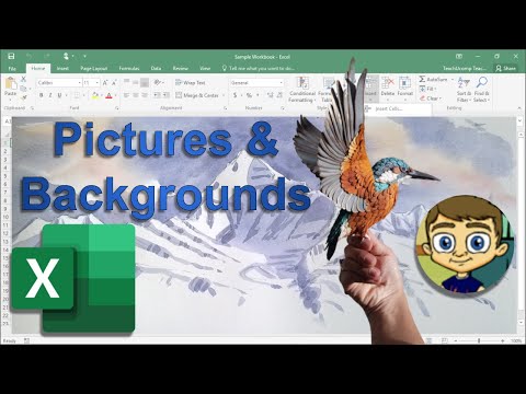 Adding Pictures and Backgrounds into Excel