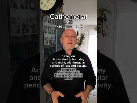 Cathemeral! English Pronunciation, Meaning, Synonyms, Etymology, and Examples!