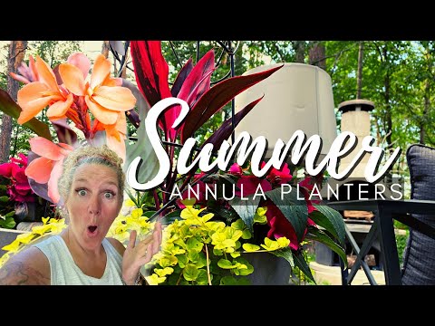 TROPICAL SUMMER ANNUALS/Garden Update
