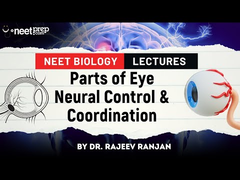 Structure of the eyes Video Lecture - MBBS