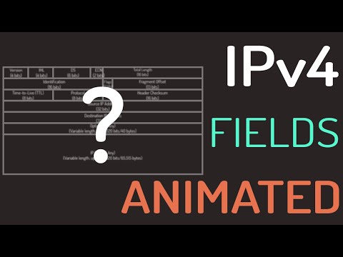 The IPv4 Header Fields Explained