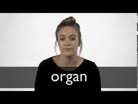 'ORGAN' 的 简体中文 Translation | 柯林斯 英语 - 汉语词典