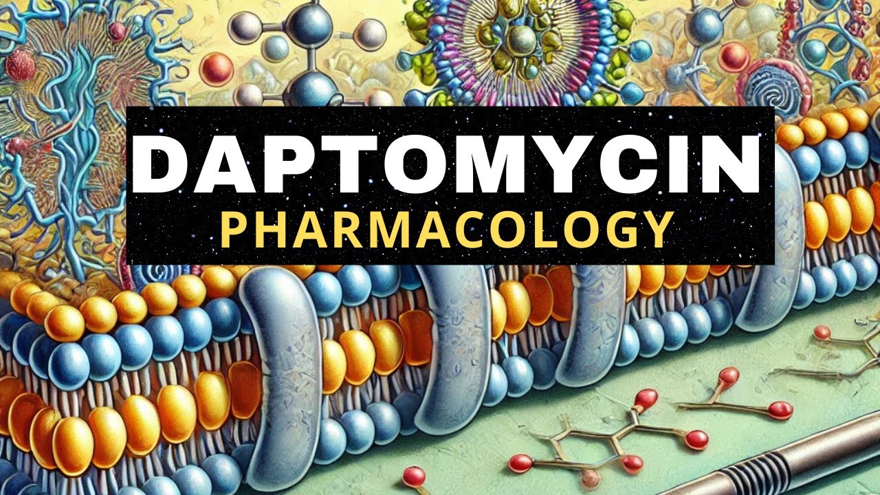 Daptomycin Pharmacology with pop Quiz