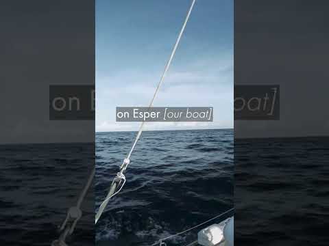 He's NO GENTLEMAN! #shorts #sailing #sailingFAIL