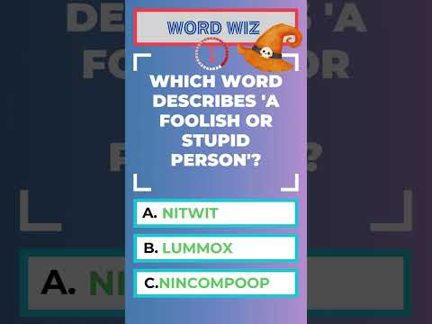 Word Wiz: Identify the Nincompoop!