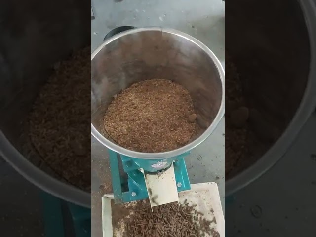 Pellet Making Machine - 10 HP Cattle Feed Pellet Making Machine ...