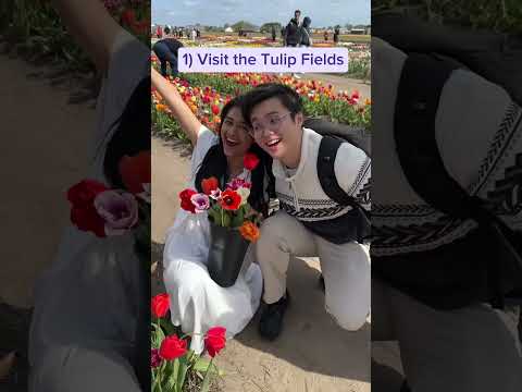 Tulips! How to see them β¨ #TulipSeason #NetherlandsTravel #Keukenhof #adventuretravel #travelcouple