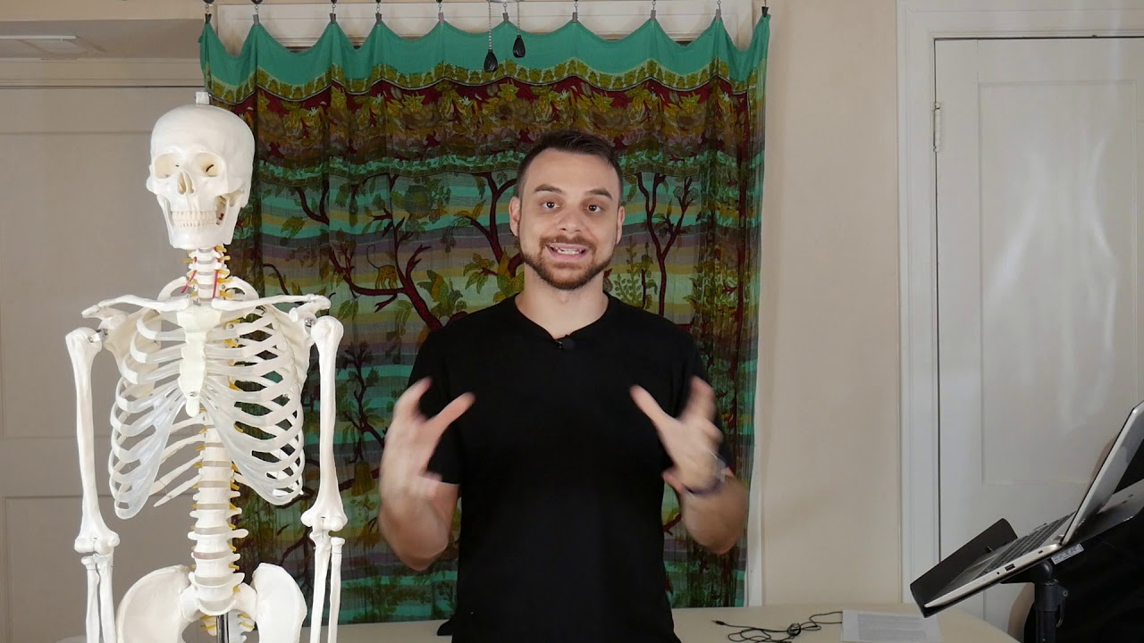 Massage Basics: Anatomy Overview Pt 2