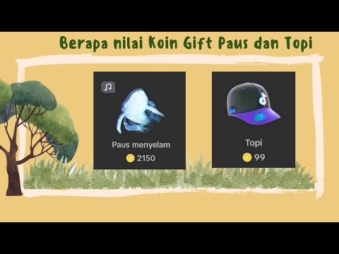 Ternyata Segini Gift Paus dan Topi Tiktok Kalo Di Rupiahkan