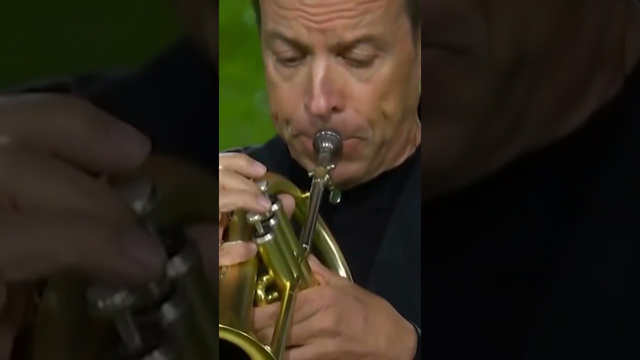 El maestro Rubén Marqués Colomer interpreta el Himno de la Comunidad Valenciana #Dana #valencia