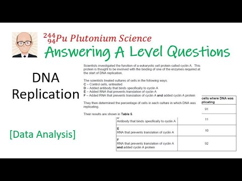 How to Answer A-Level Biology Exam Questions - DNA Replication (Data Analysis)