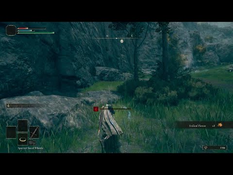 Steam Community :: Video :: ELDEN RING Bug