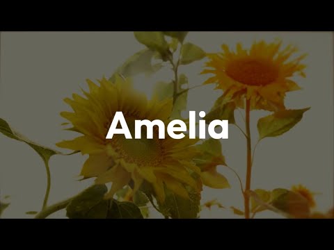 Meaning of the Name - Amelia