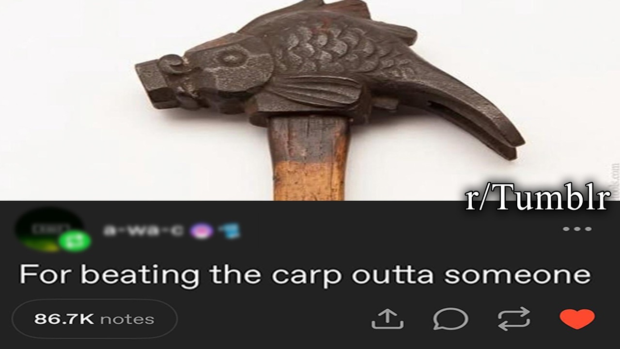 tumblr doing what tumblr does best